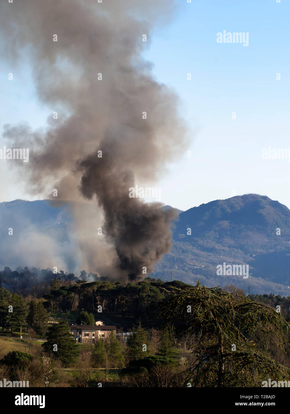 Forest on fire, Italy. Smokes billows over burning trees, woodland ...