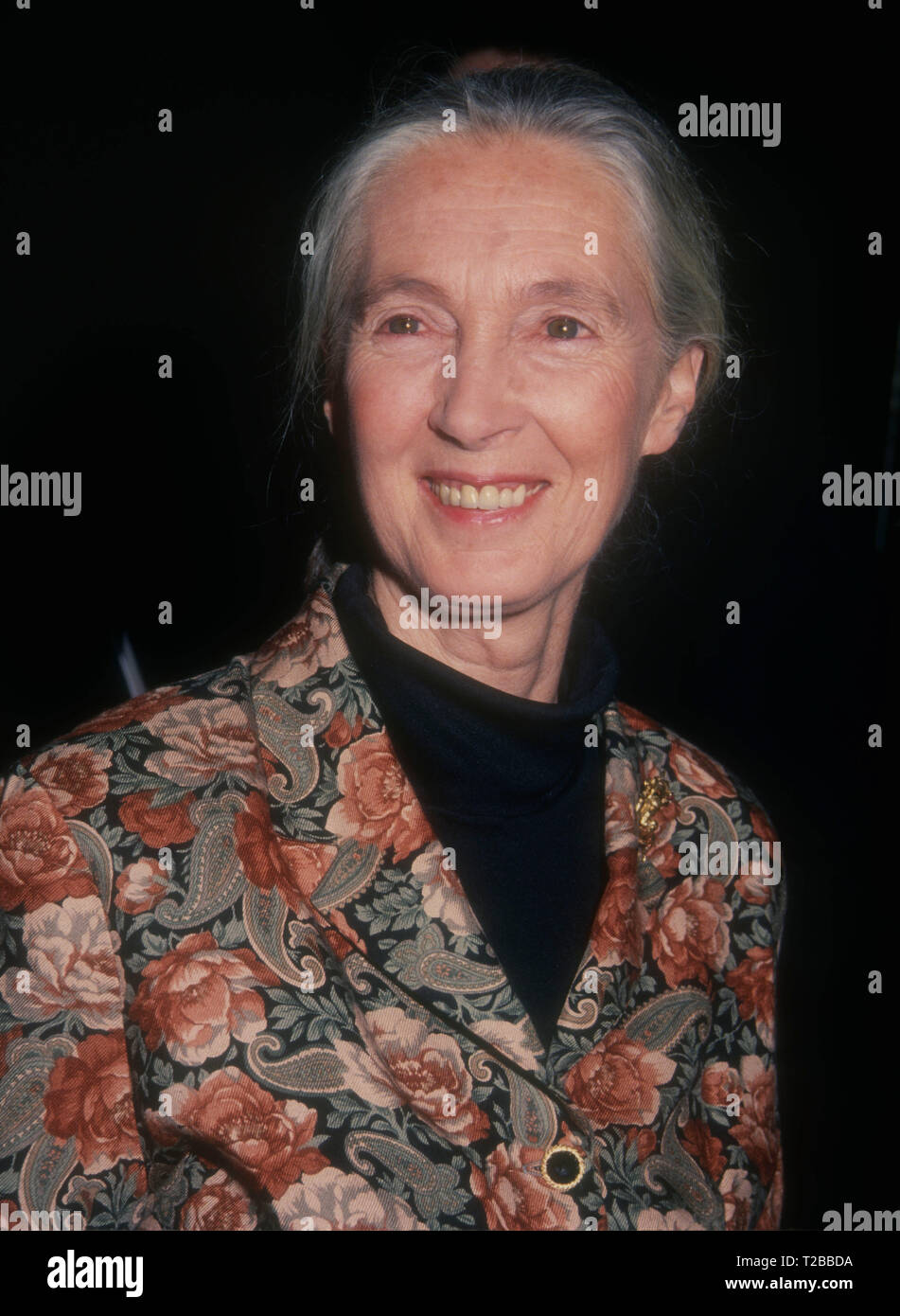 CENTURY CITY, CA - MARCH 12: Primatologist/anthropologist Jane Goodall ...