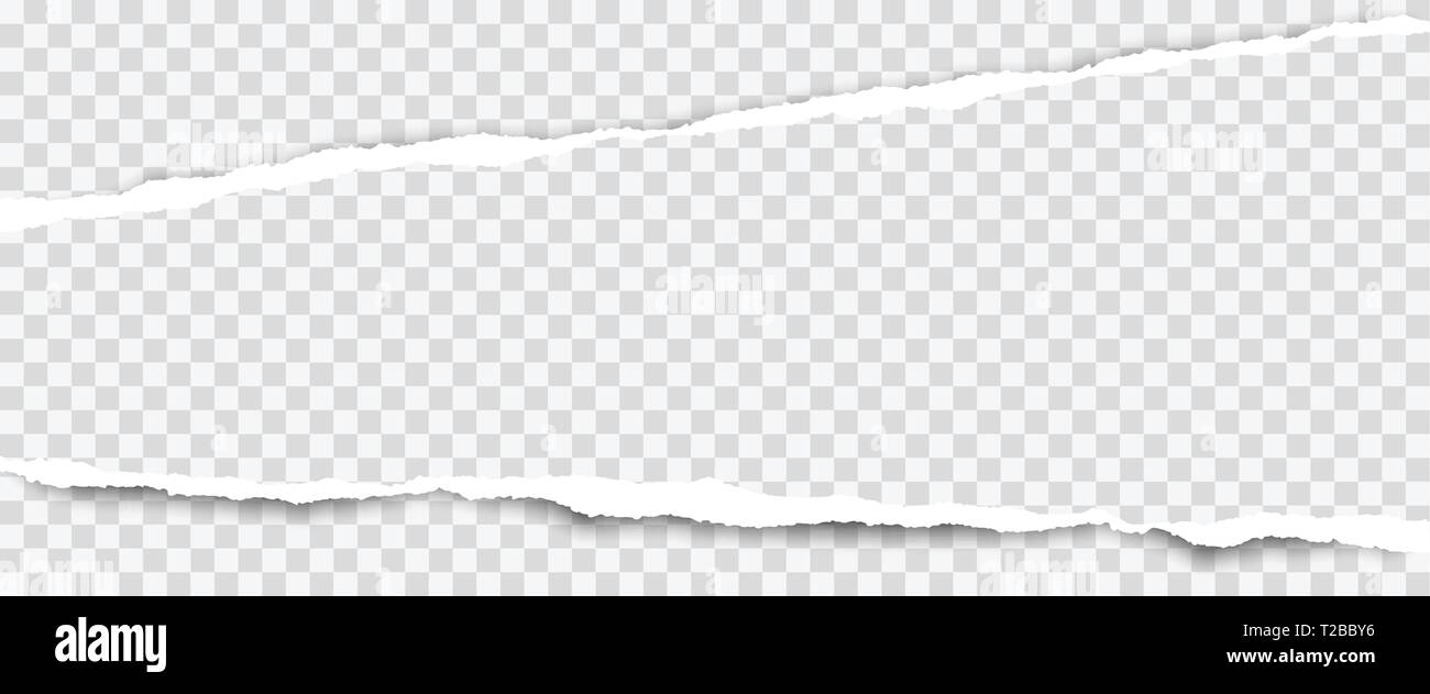 Torn white, squared and horizontal paper strip with soft shadow. Vector ...