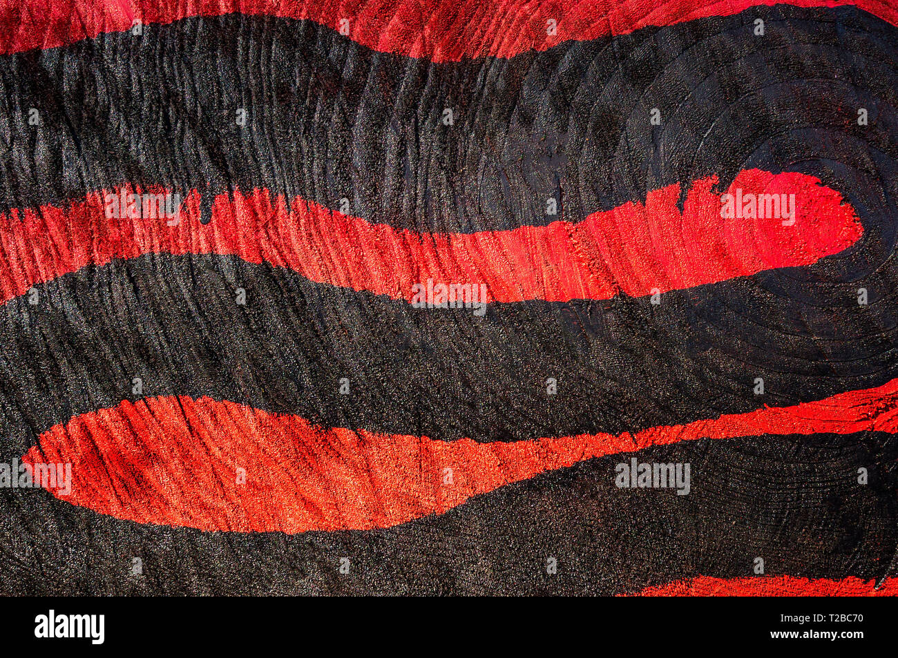 Log texture in black and white hi-res stock photography and images - Alamy