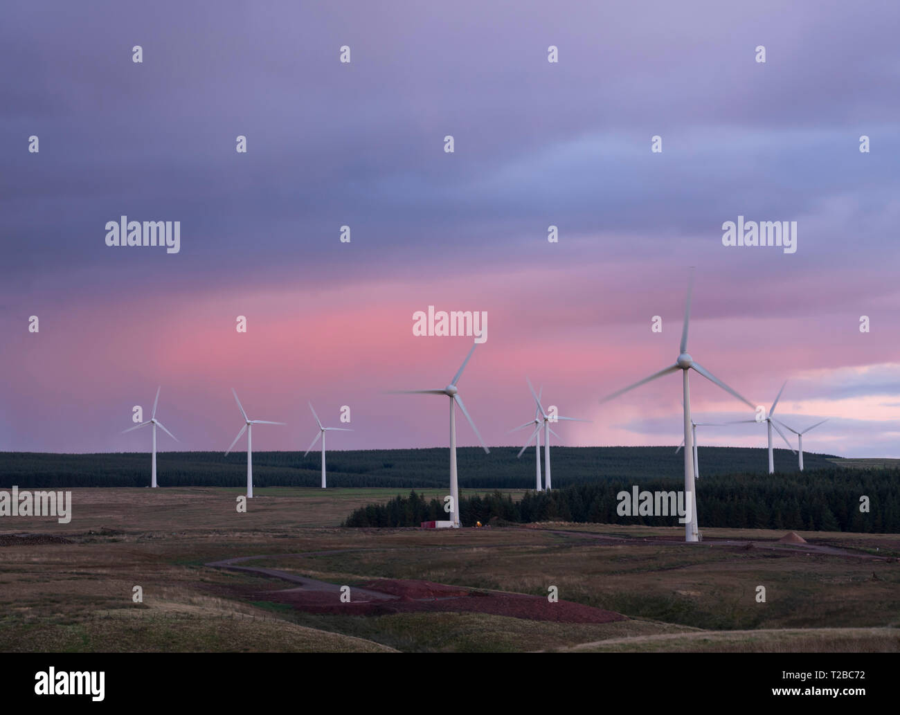 Wind turbine power in Scotland - Dun Law windfarm on Soutra Hill, south ...