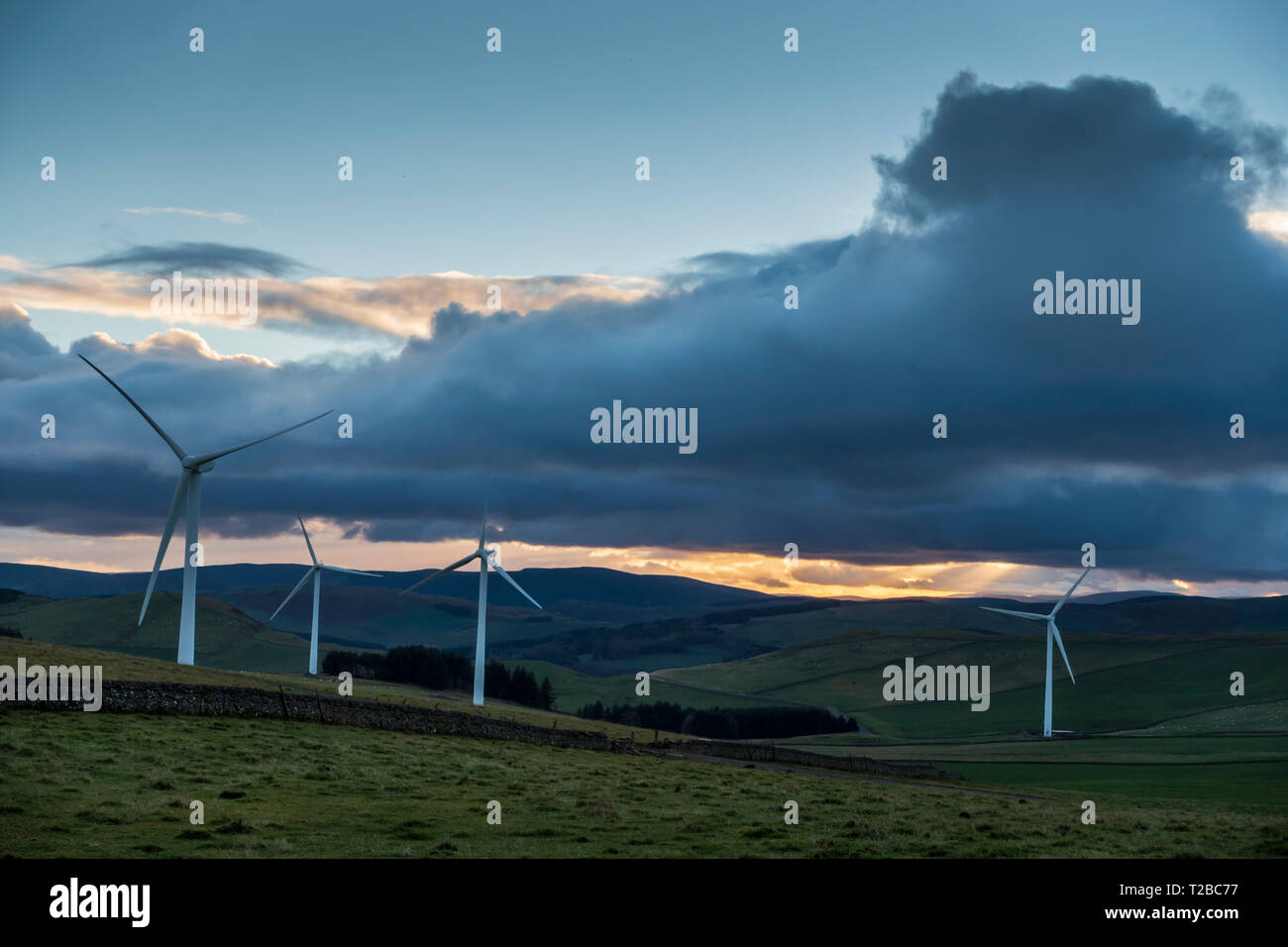 Wind turbine power in Scotland - Wooplaw wind farm in the Scottish ...