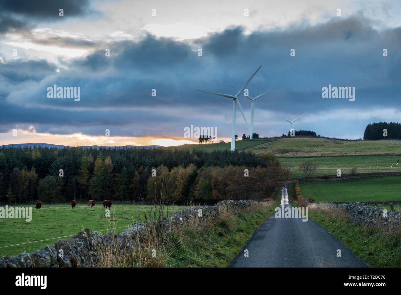 Wind turbine power in Scotland - Wooplaw wind farm in the Scottish ...