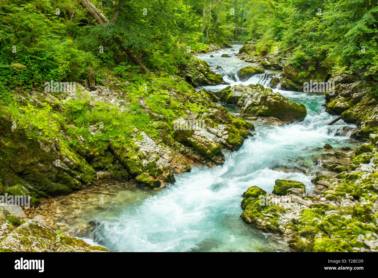 The Vintgar Gorge or Bled Gorge is a walk along gorge in northwestern ...
