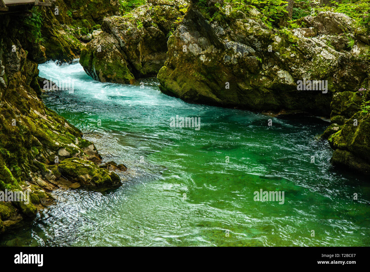 The Vintgar Gorge or Bled Gorge is a walk along gorge in northwestern ...