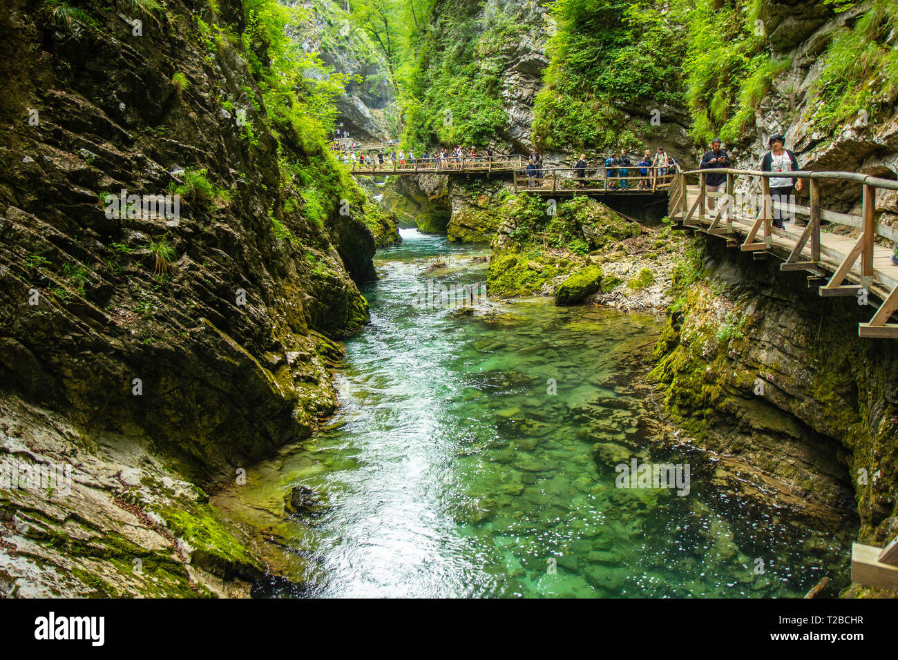 The Vintgar Gorge or Bled Gorge is a walk along gorge in northwestern ...