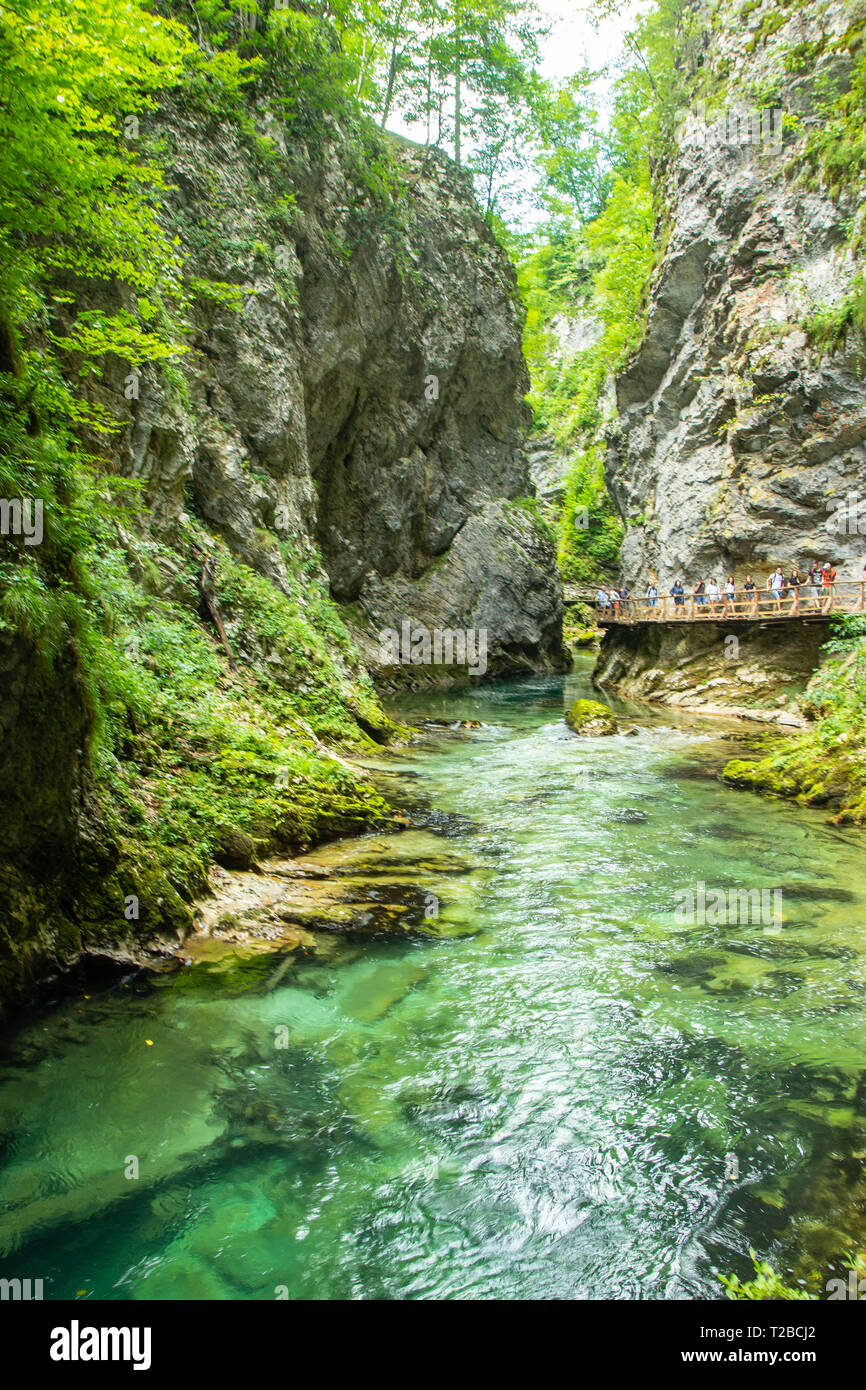 The Vintgar Gorge or Bled Gorge is a walk along gorge in northwestern ...