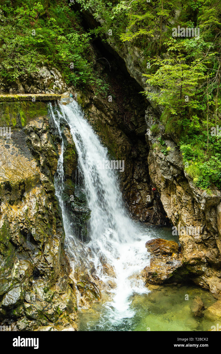 The Vintgar Gorge or Bled Gorge is a walk along gorge in northwestern ...