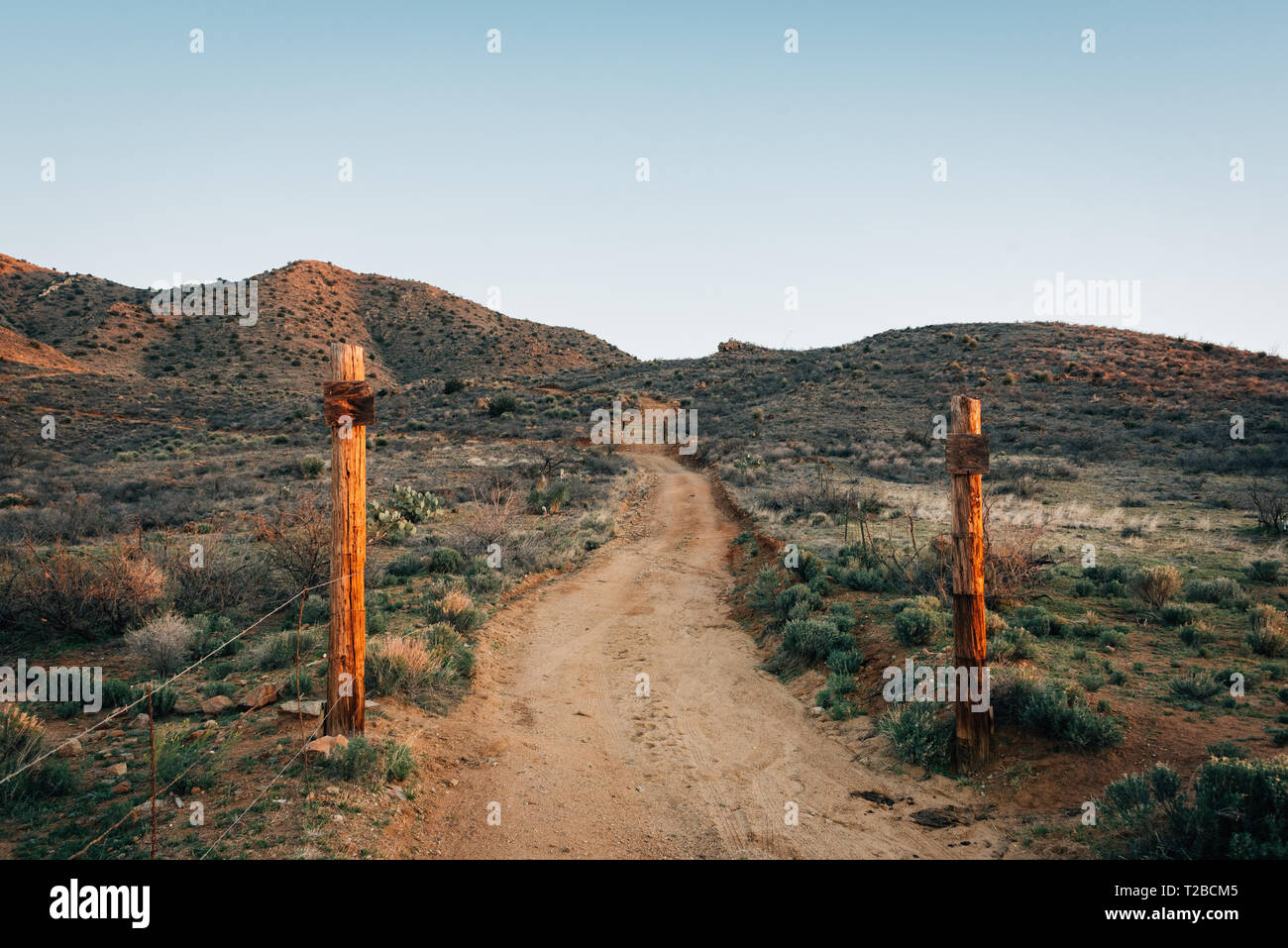 Dirt road in the desert of eastern Arizona Stock Photo - Alamy