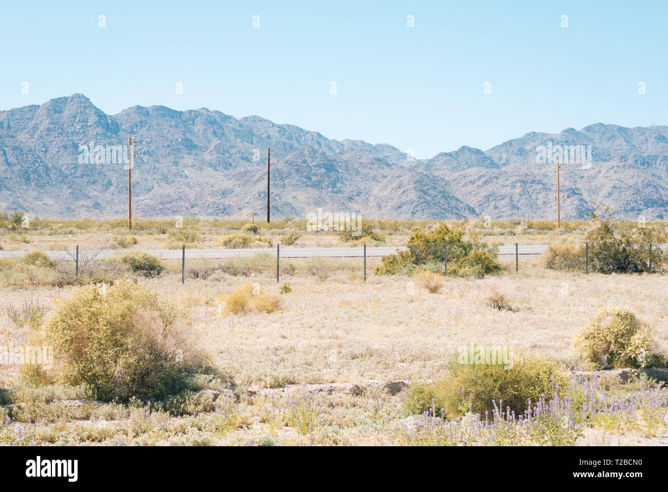 Desert center hi-res stock photography and images - Alamy