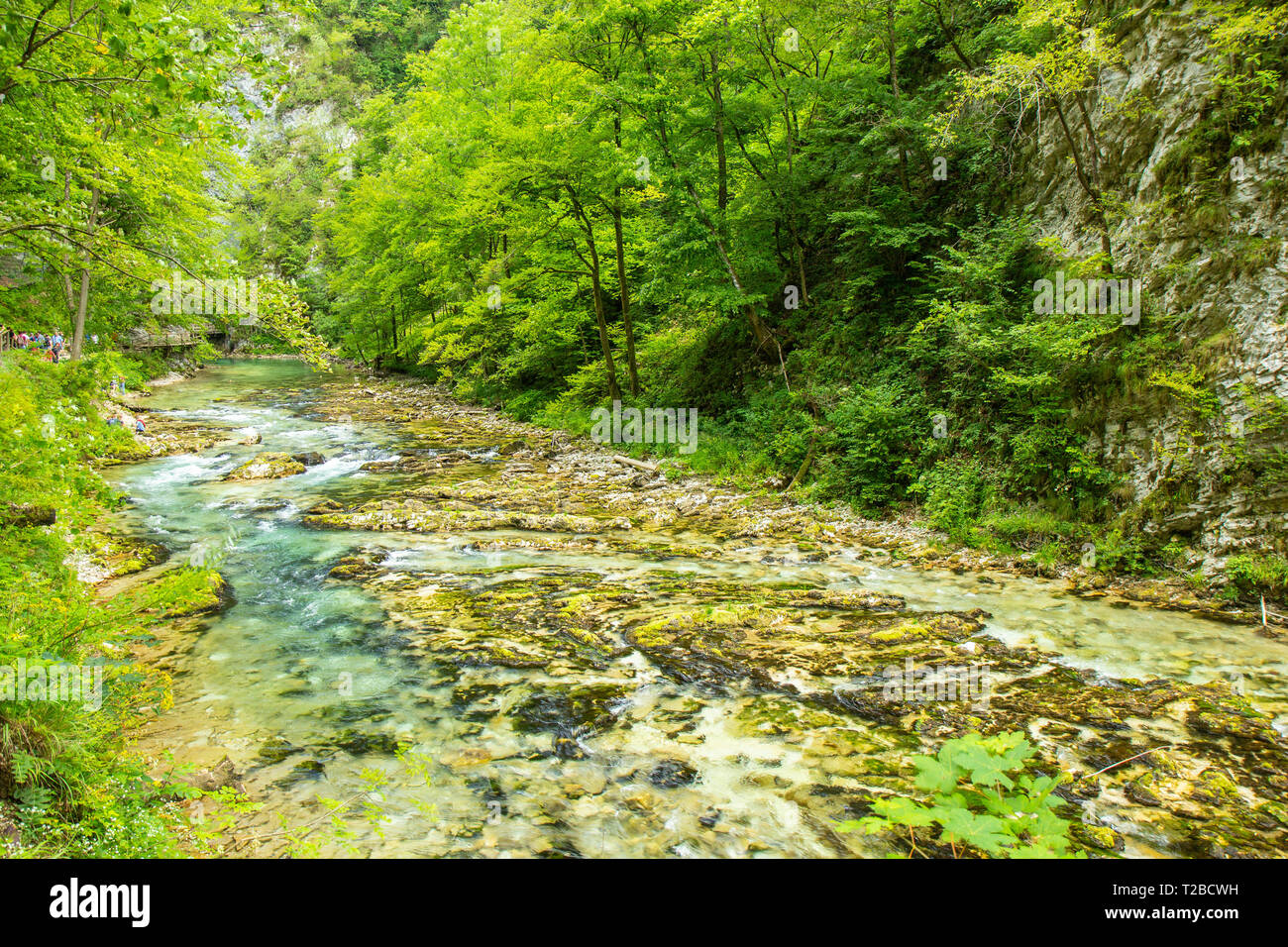 The Vintgar Gorge or Bled Gorge is a walk along gorge in northwestern ...