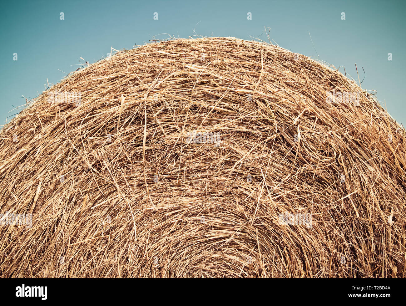 Hay bale texture hi-res stock photography and images - Alamy