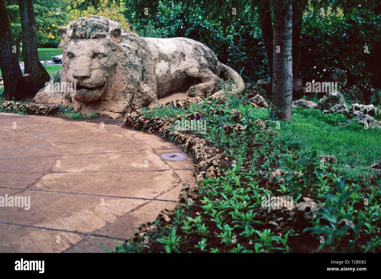 Ifrane lion hi-res stock photography and images - Alamy