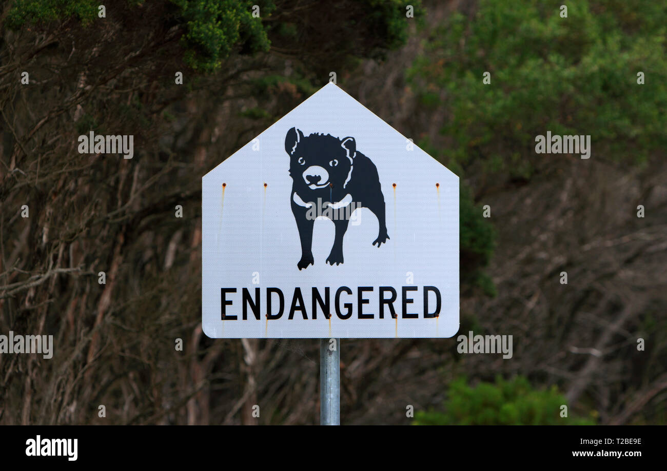 Endangered animal sign hi-res stock photography and images - Alamy