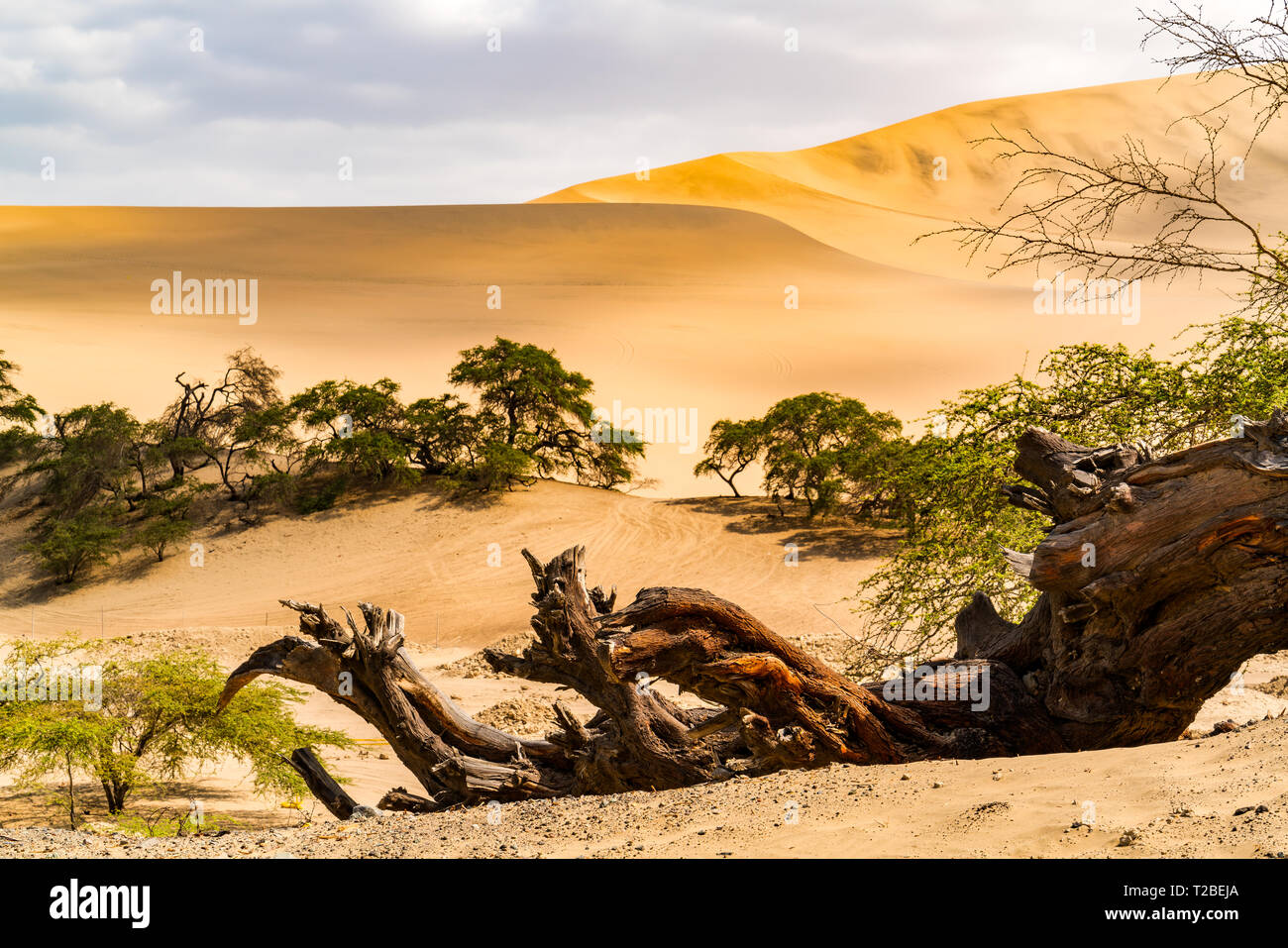 Natural landscape of Peruvian desert on the way to Nazca in Peru Stock ...