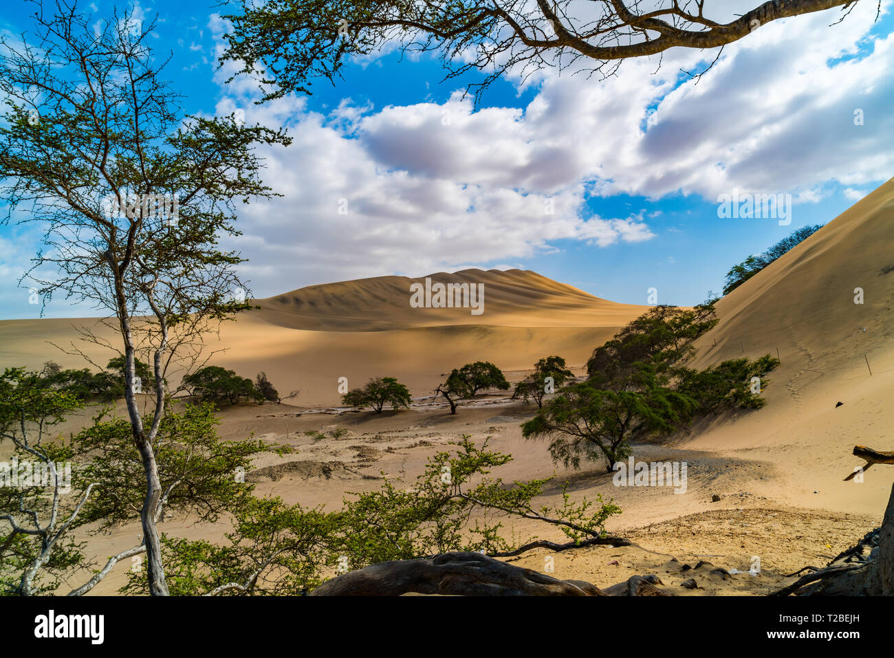 Peruvian desert at the way to Nazca in Peru Stock Photo - Alamy