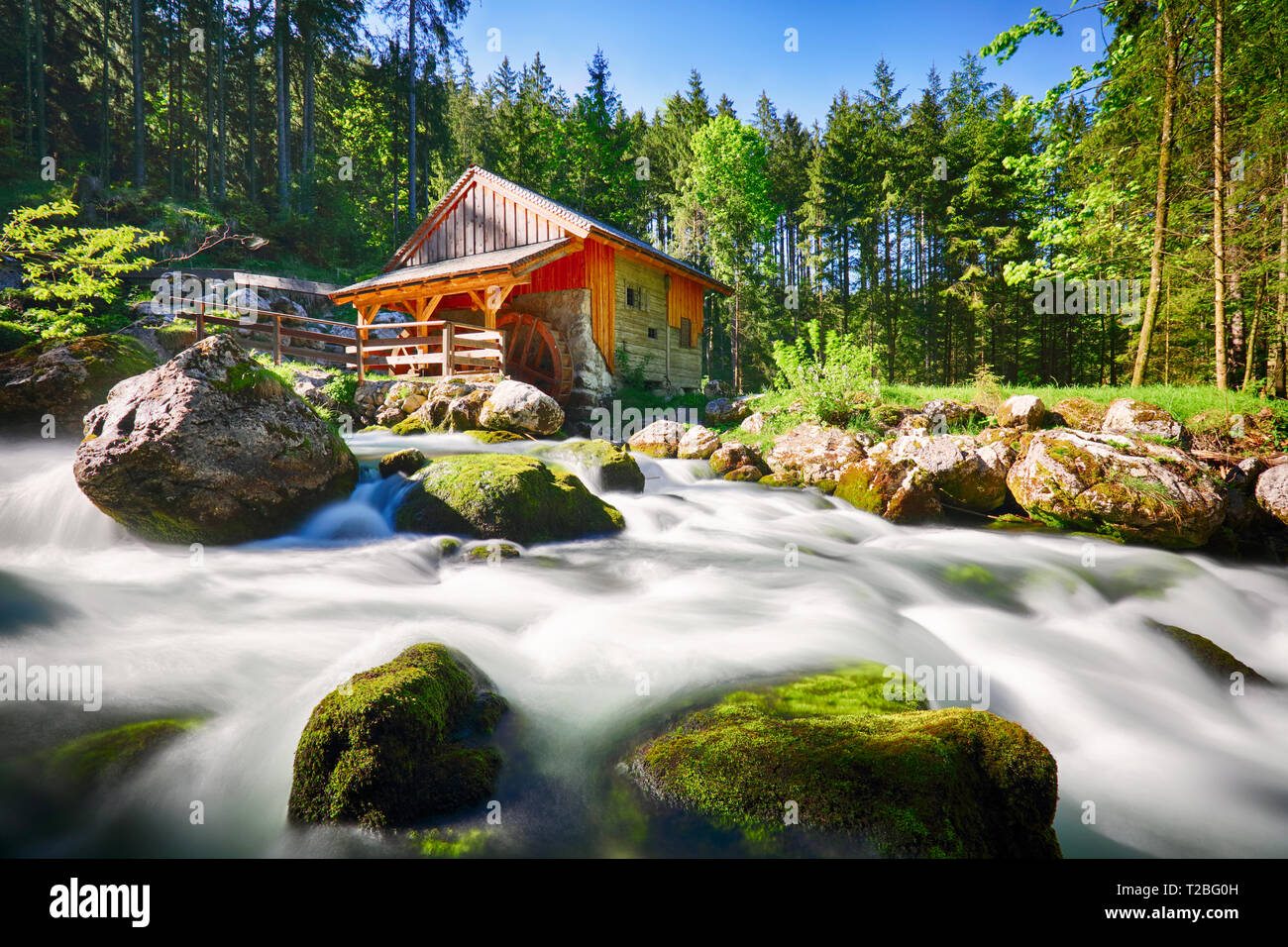 Beauty landscape with river and forest in Austria, Golling Stock Photo ...