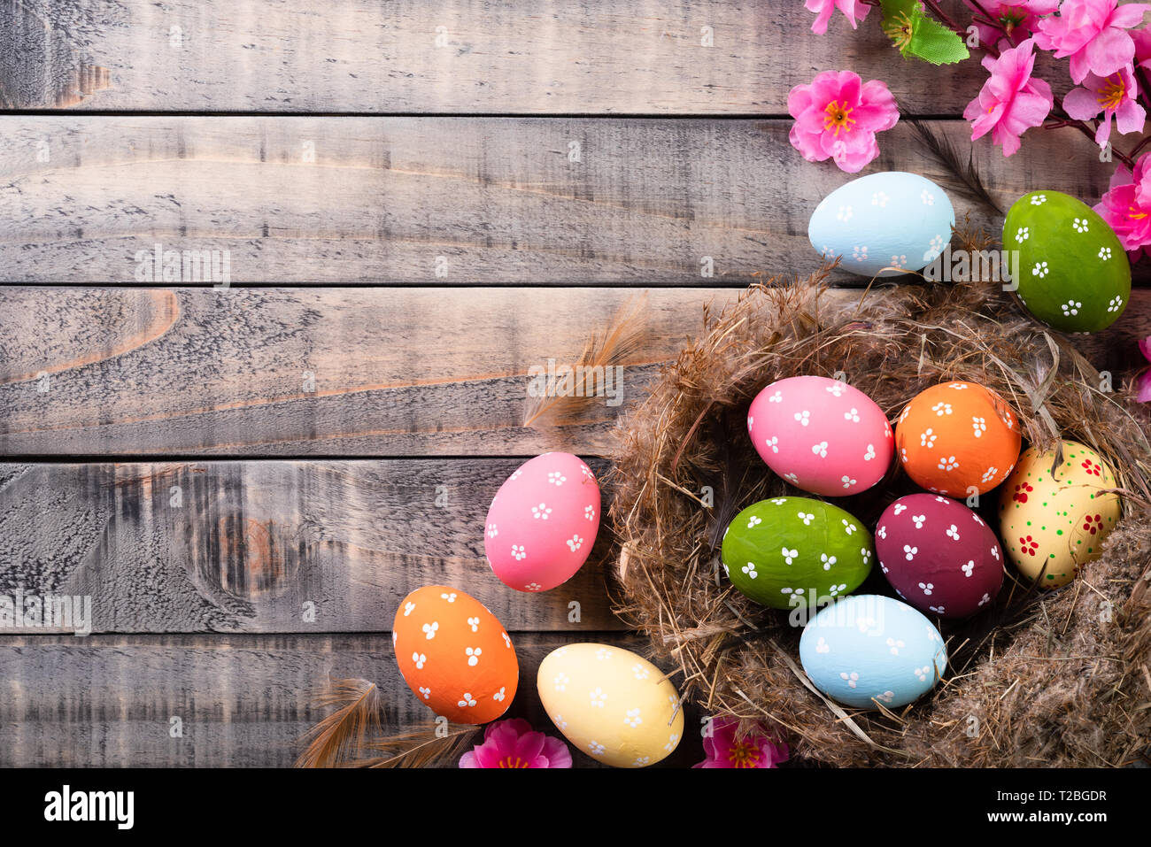 Happy easter! Colourful of Easter eggs in nest with pink flower and ...
