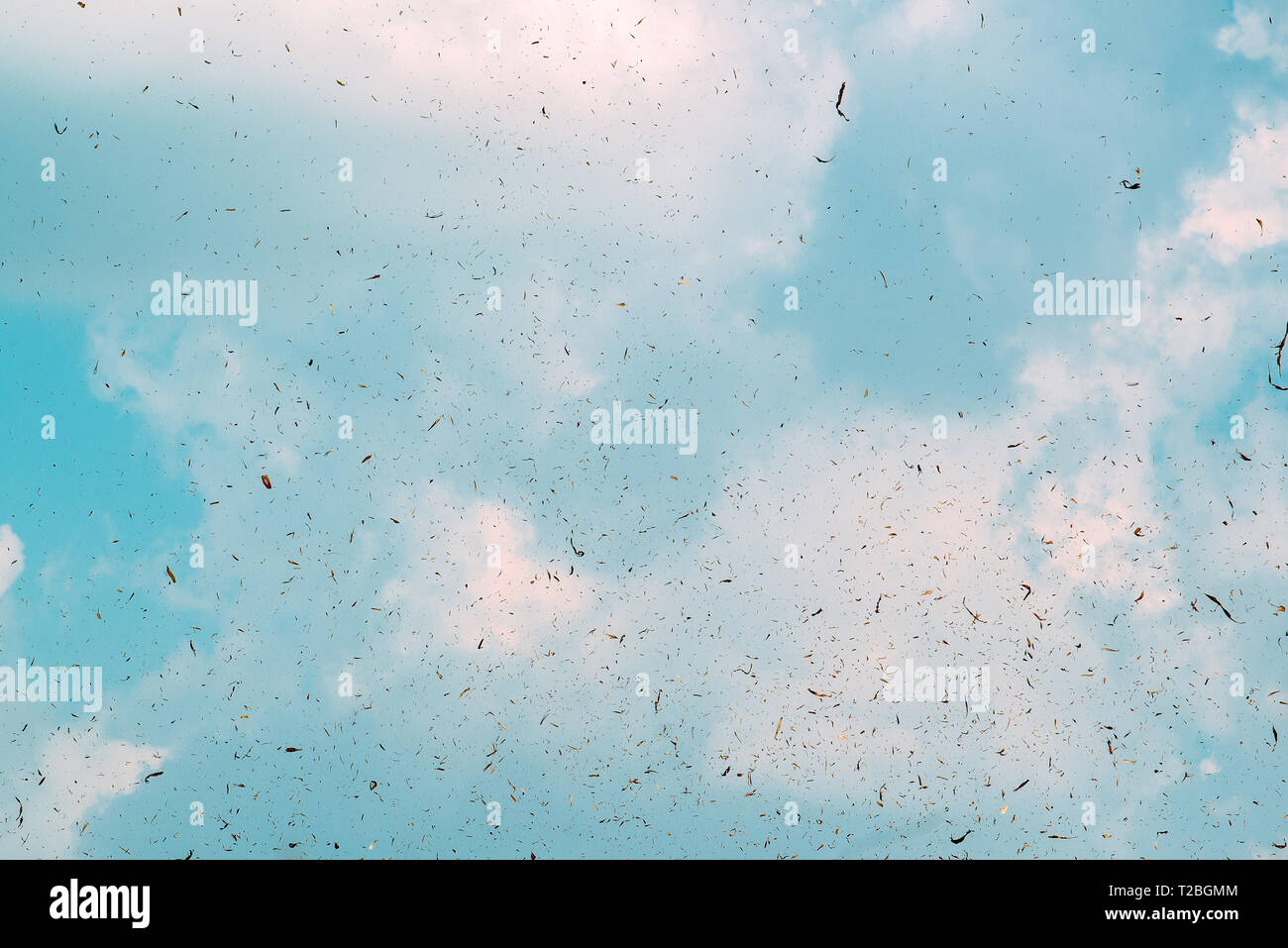 Dust particles hi-res stock photography and images - Alamy