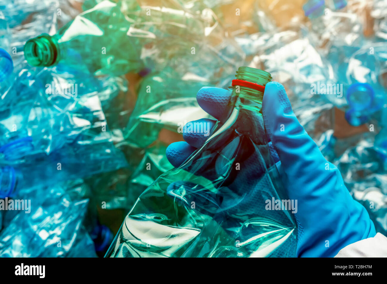 Worker sorting plastic bottles as recycling material Stock Photo - Alamy