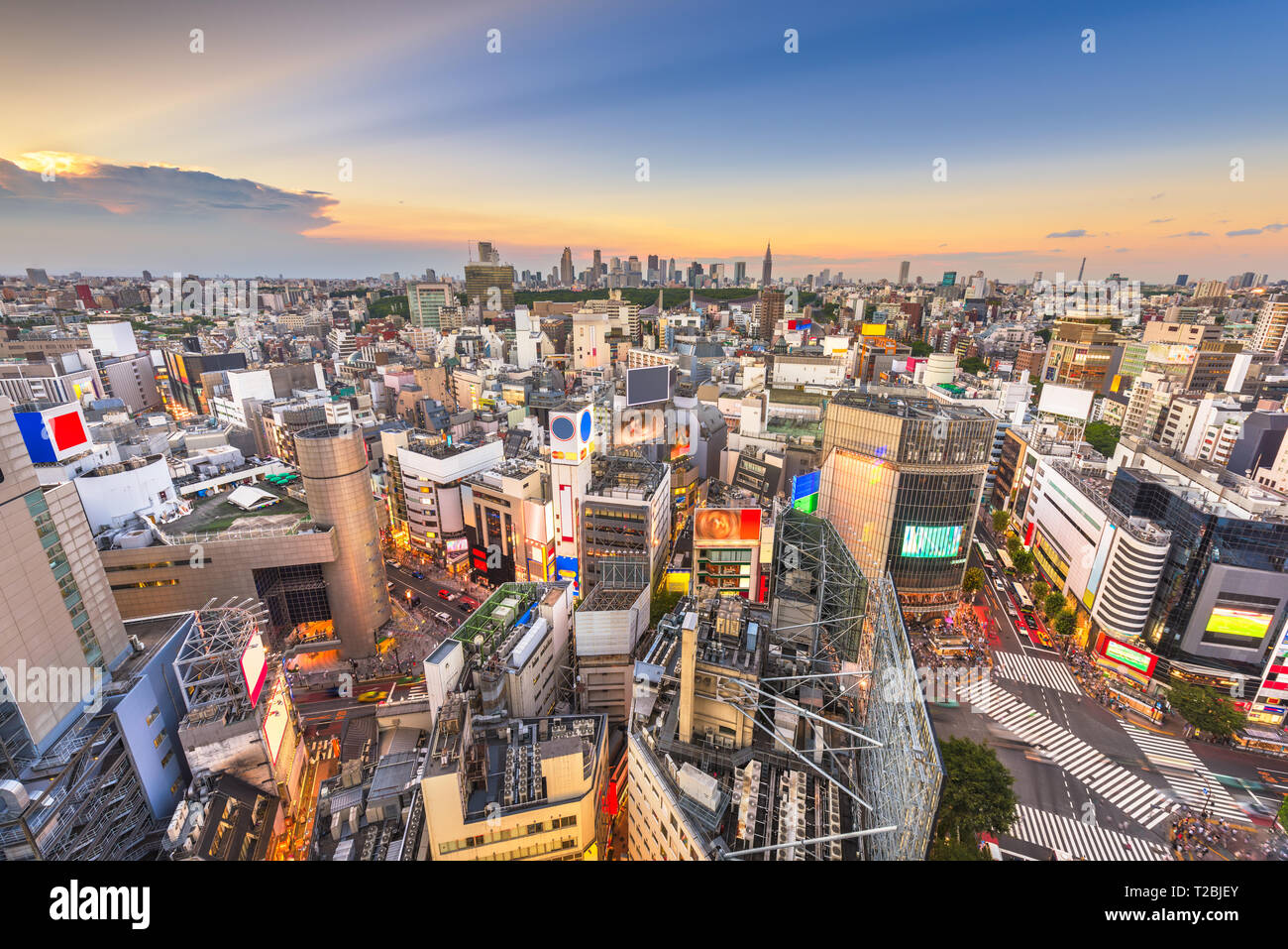 Tokyo, Japan city skyline over Shibuya Ward with the Shinjuku Ward skyline in the distance Stock ...
