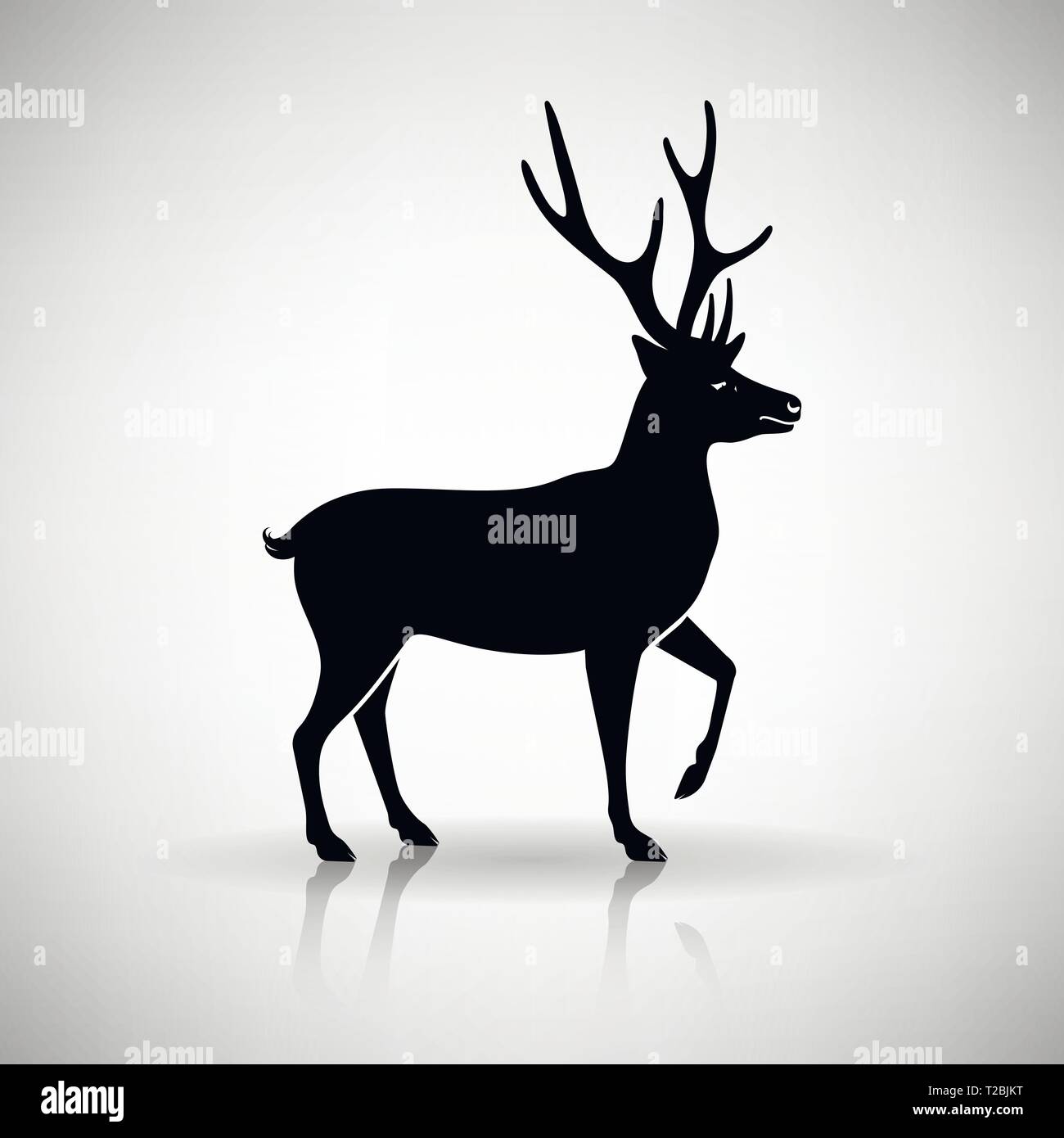 Mammals vectors hi-res stock photography and images - Alamy