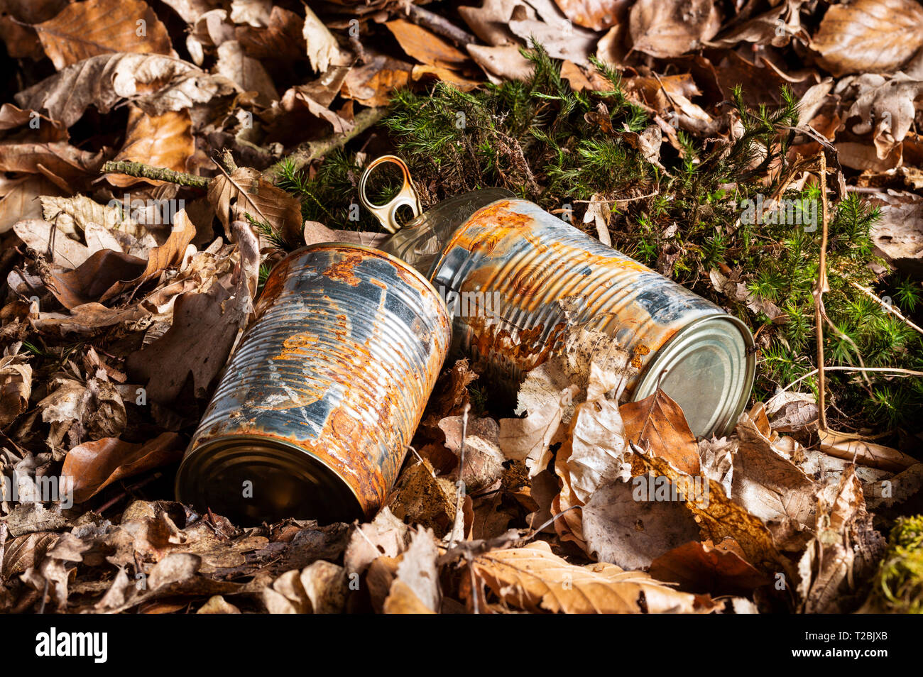 Still life of two rusty empty used tin cans with lid and pull waste on ...