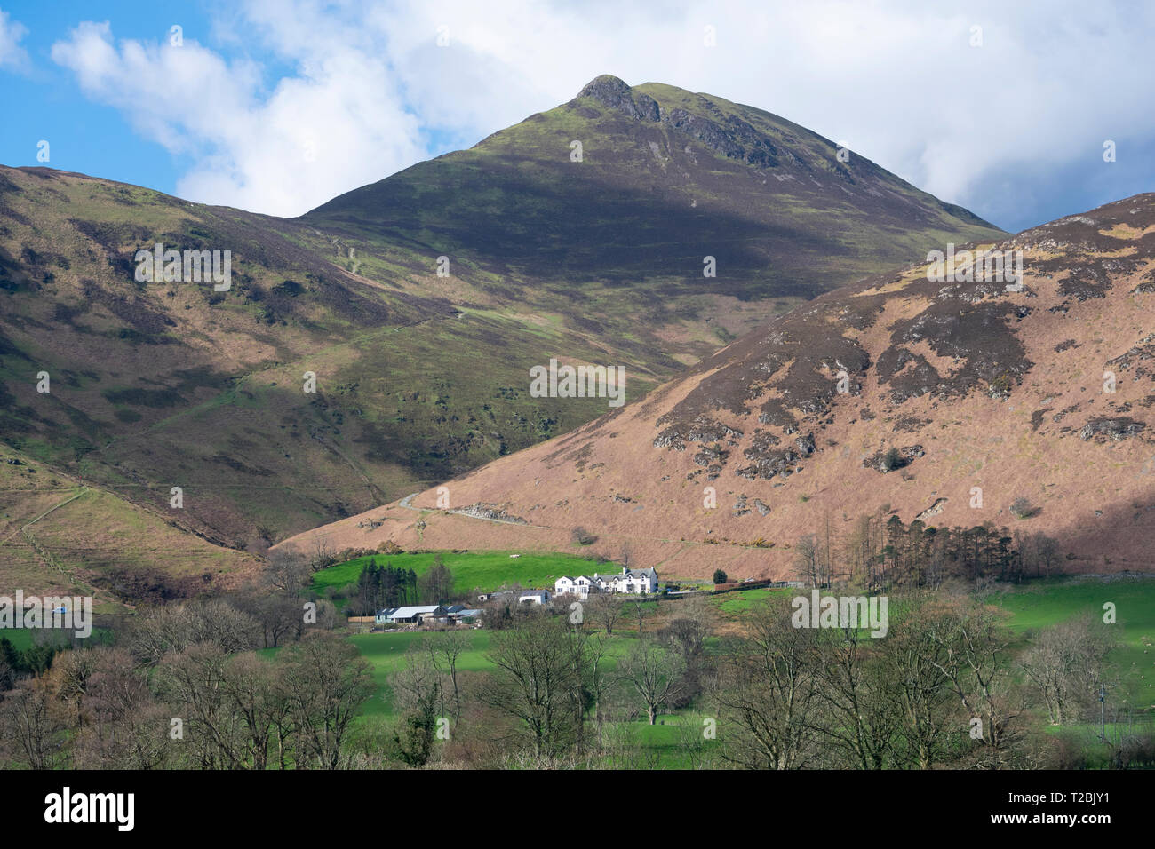 Causey Pike, Newlands Valley, Cumbria Stock Photo - Alamy