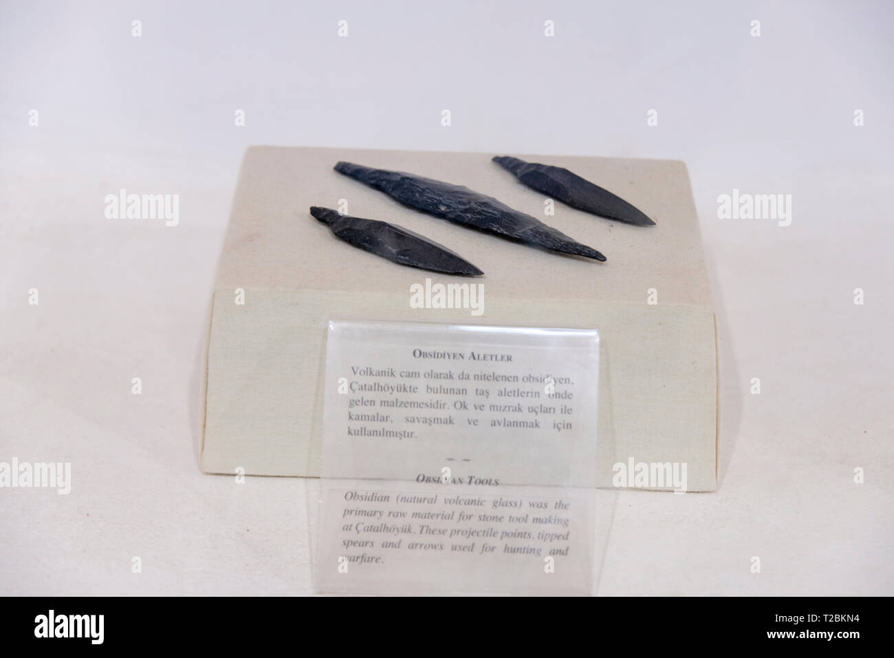 Catalhoyuk was a very large Neolithic and Chalcolithic proto-city ...