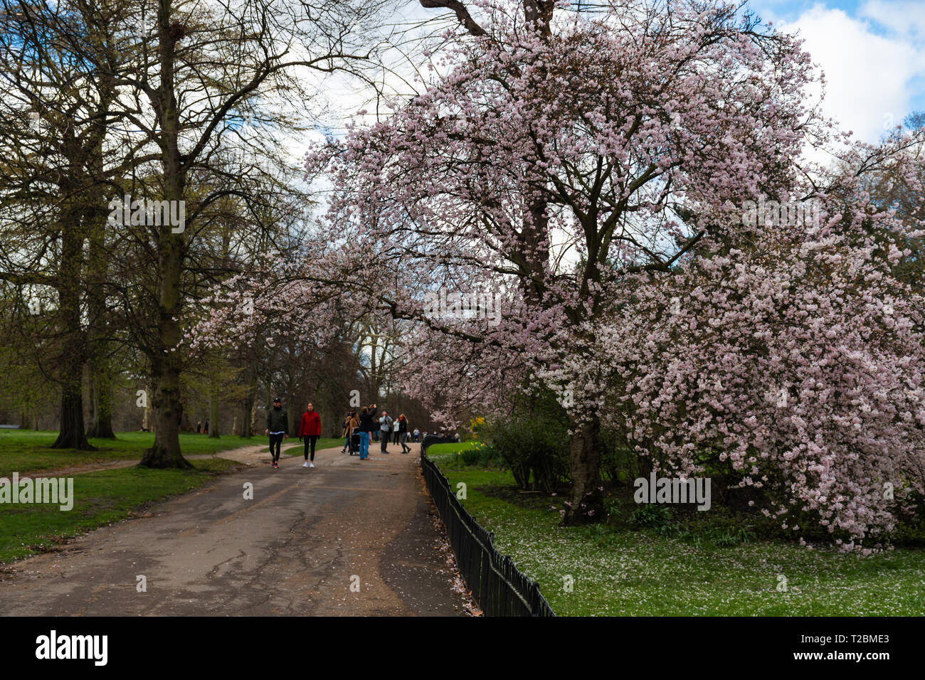 Kensington Gardens Hyde Park Stock Photo - Alamy
