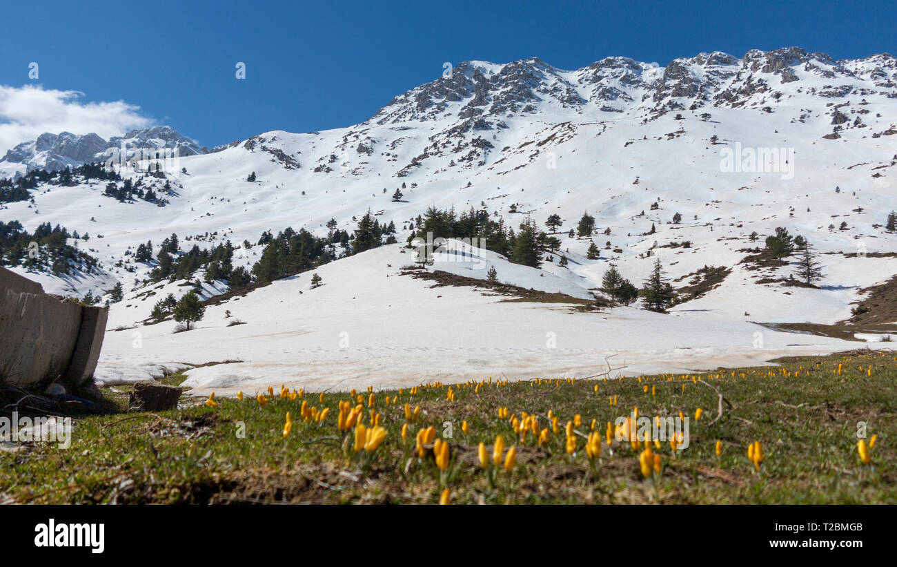 The Taurus Mountains are a mountain complex in southern Turkey ...