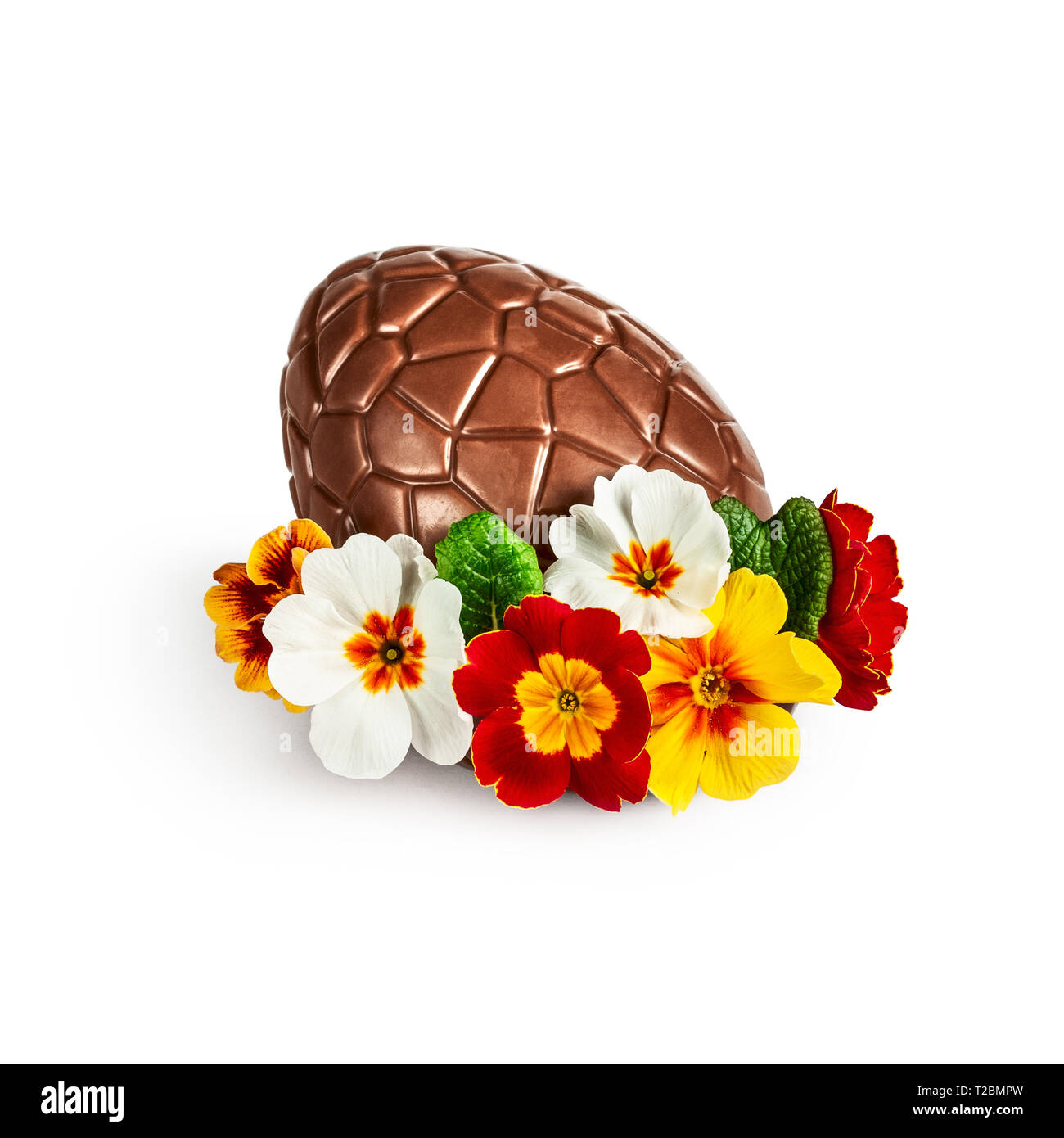 Chocolate easter egg and colorful spring primrose primula flowers ...