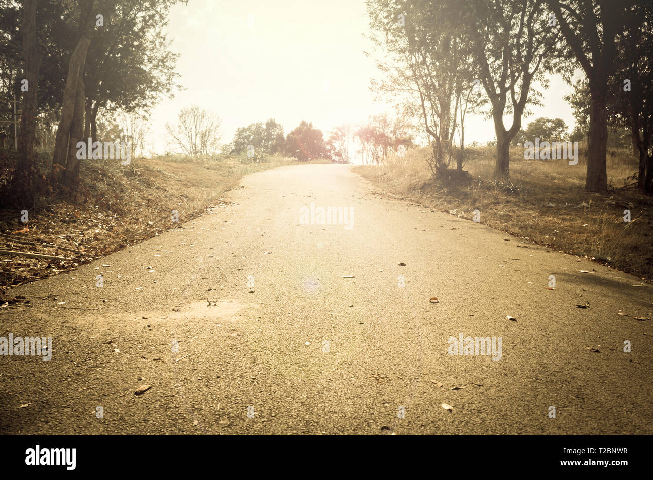 Vintage light of country road,landscape Stock Photo - Alamy