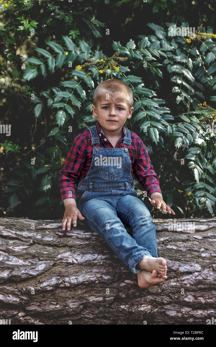 Climb childhood tree horizontal hi-res stock photography and images - Alamy