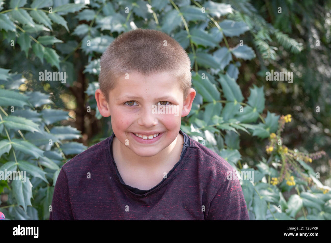 Child boy 7 years portrait hi-res stock photography and images - Alamy