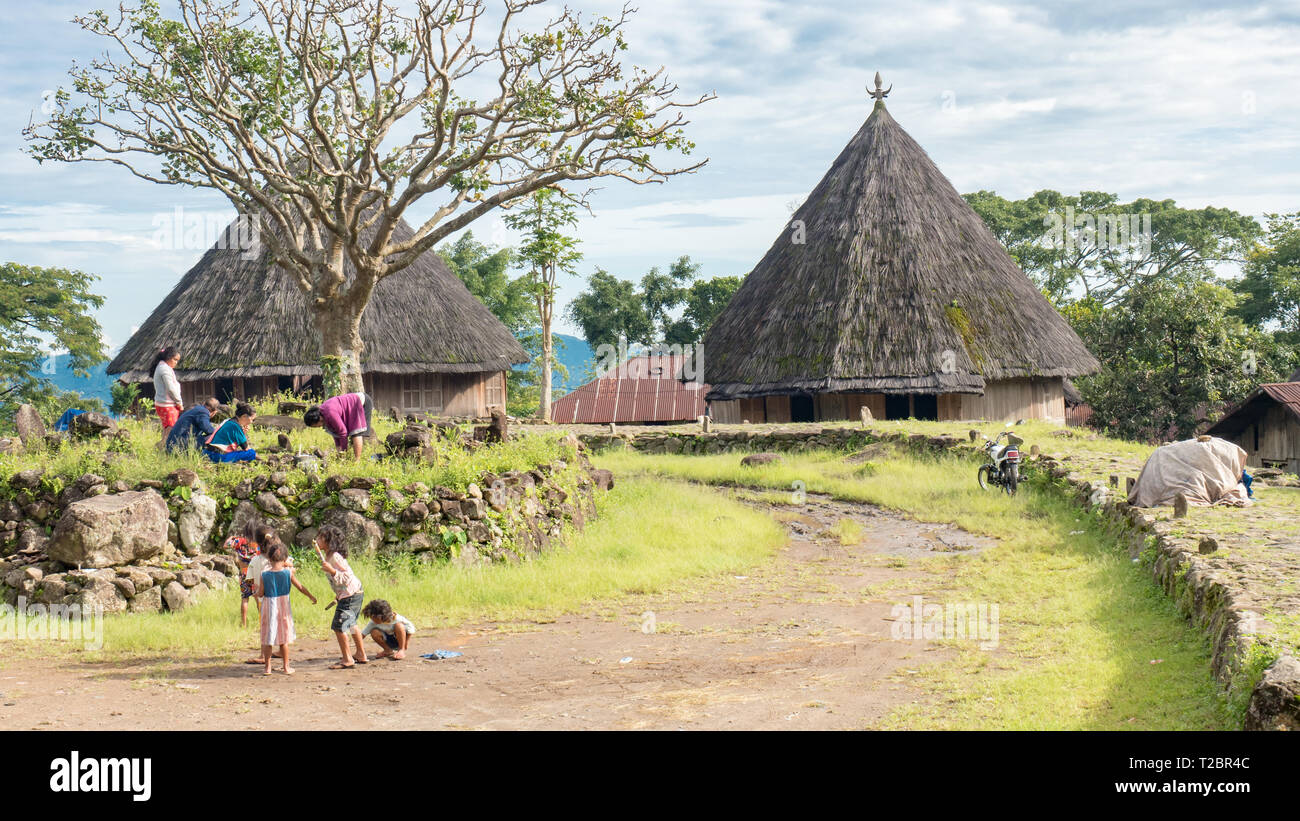 Ruteng Puu tradtional village, Flores island, Indonesia. Indonesian ...