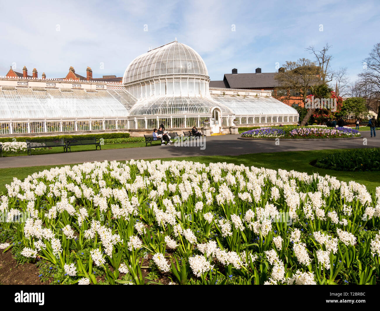 Ireland belfast botanic gardens hi-res stock photography and images - Alamy