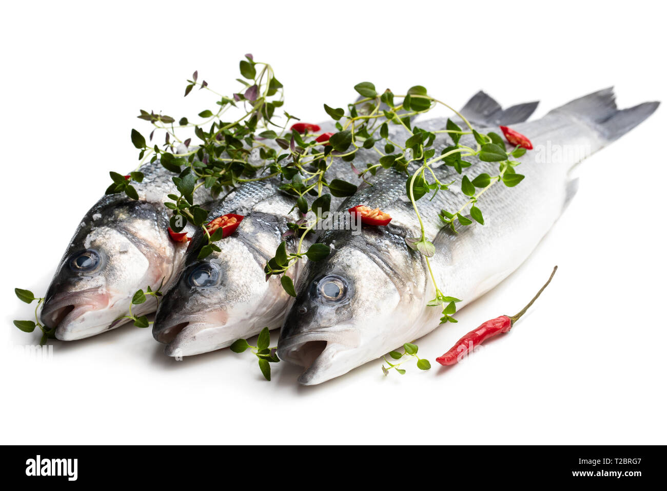 Freshwater bass Cut Out Stock Images & Pictures - Alamy