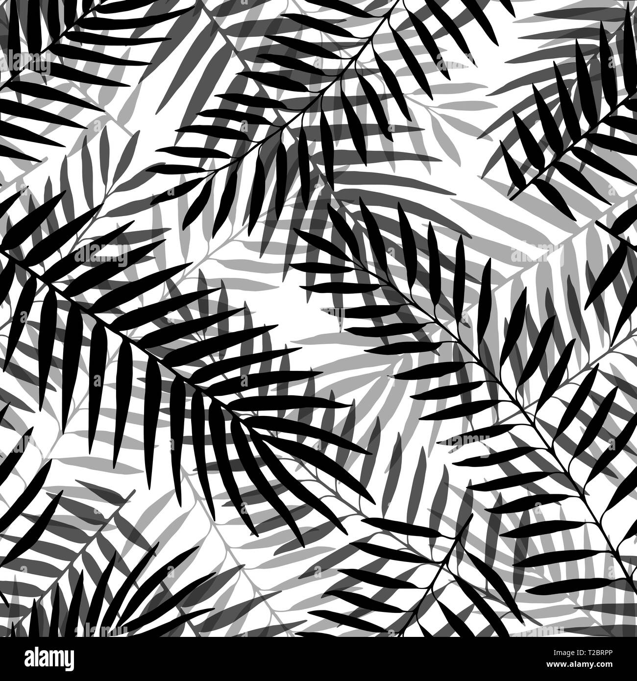 Tree Leaves Texture Black And White