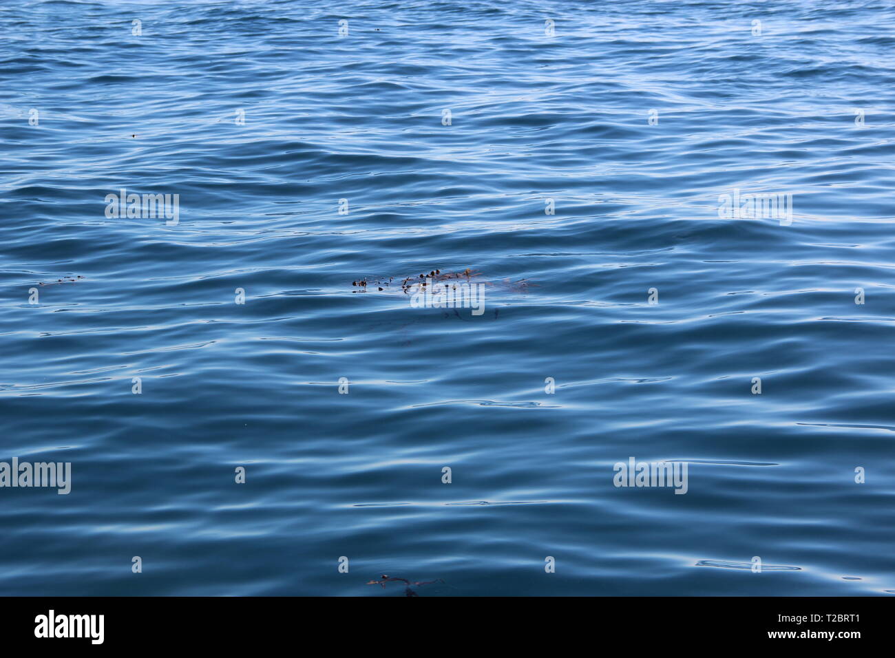 Seawater ripples hi-res stock photography and images - Alamy
