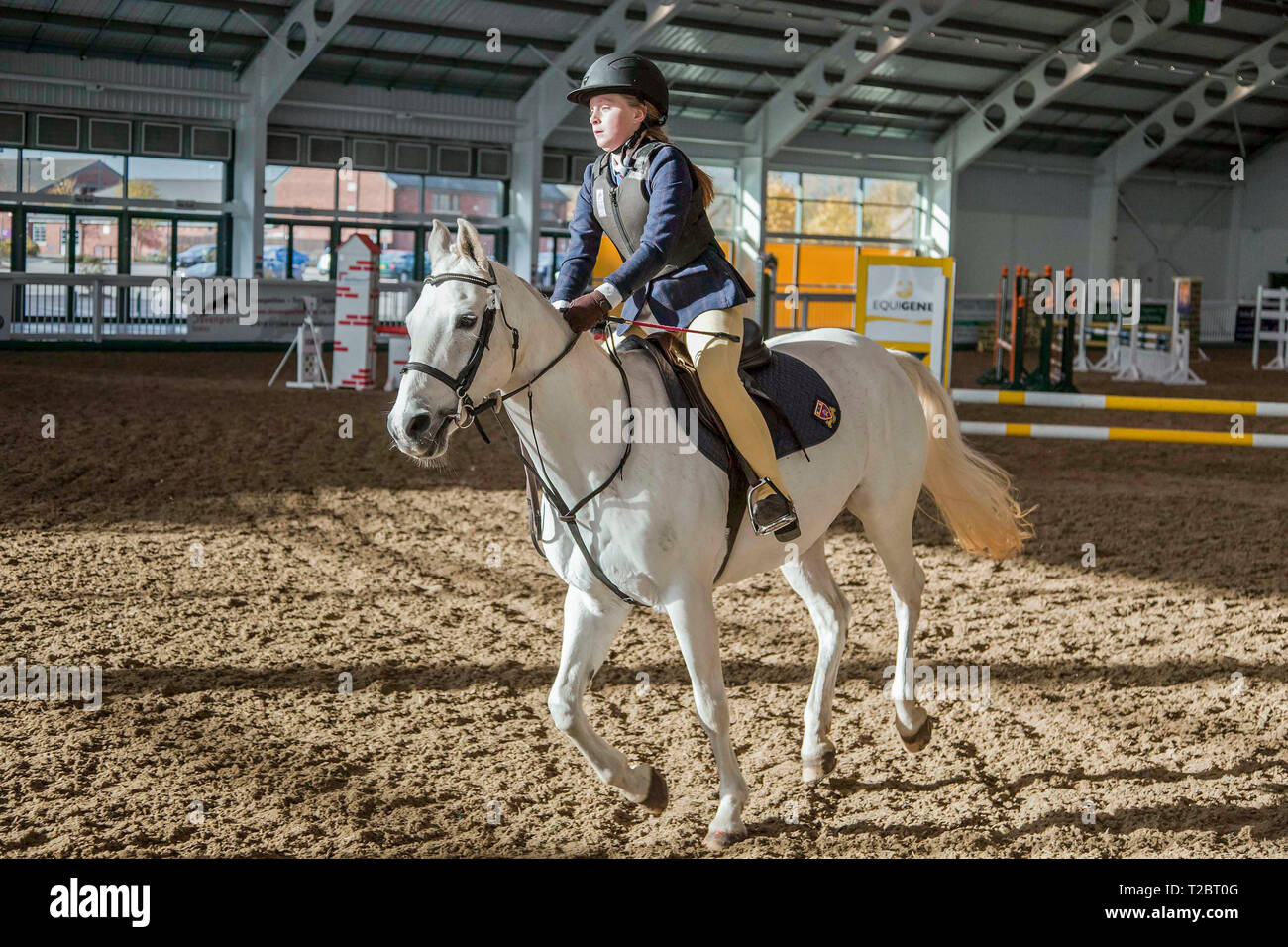 Rider Pony High Resolution Stock Photography and Images - Alamy