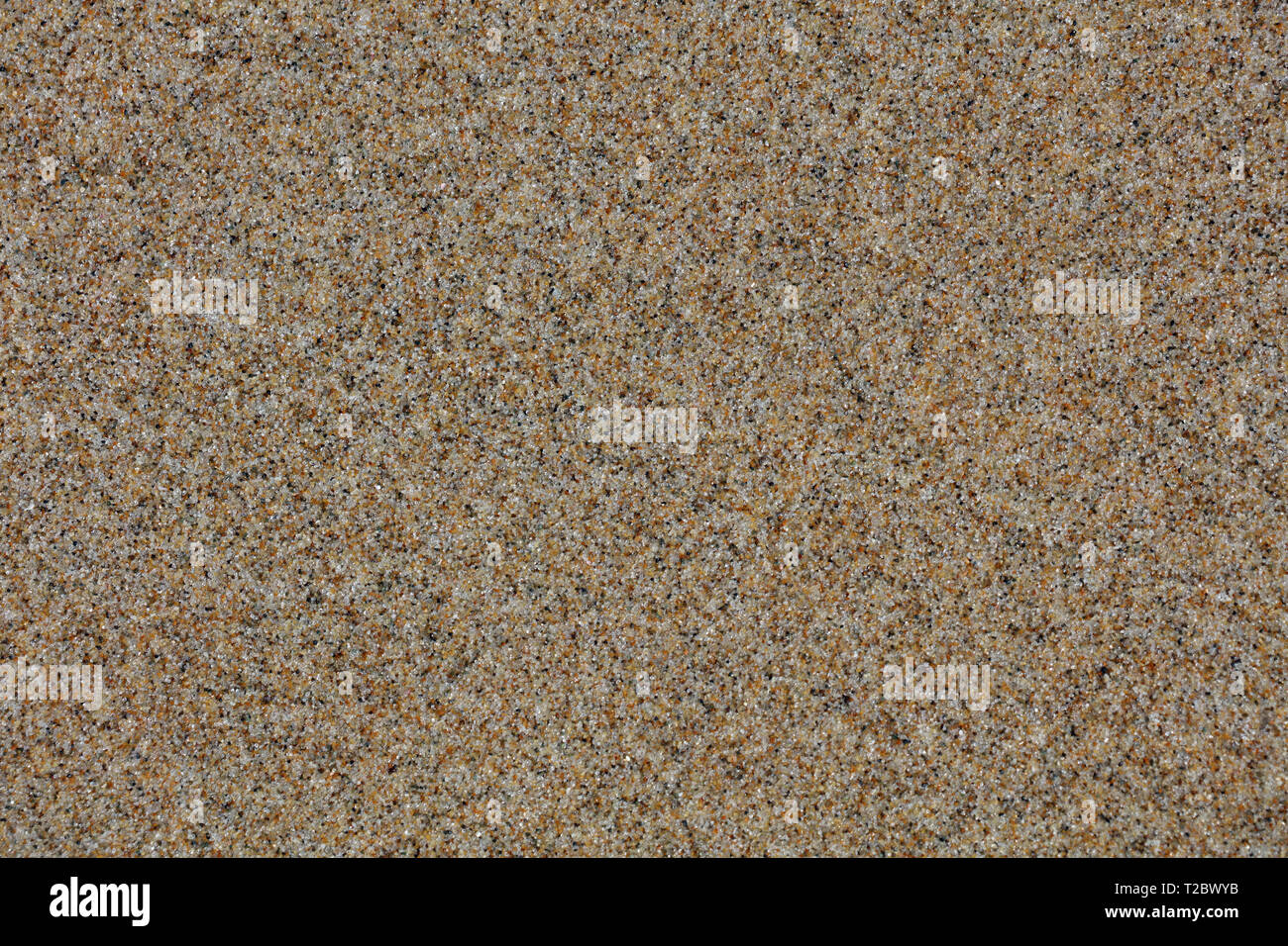 Background sandy beach sand grain of sand Stock Photo - Alamy