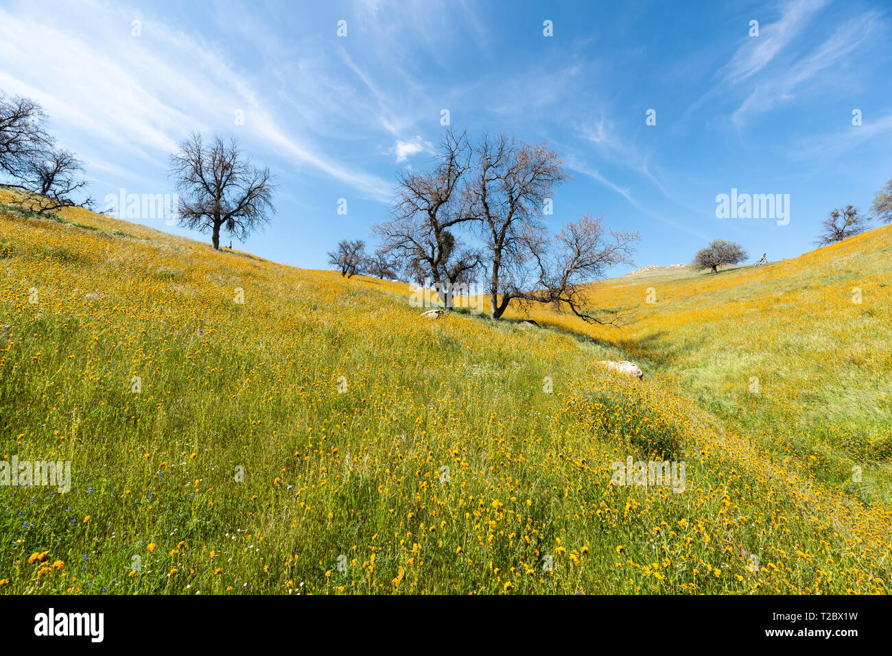 Sierra foothills california hi-res stock photography and images - Alamy