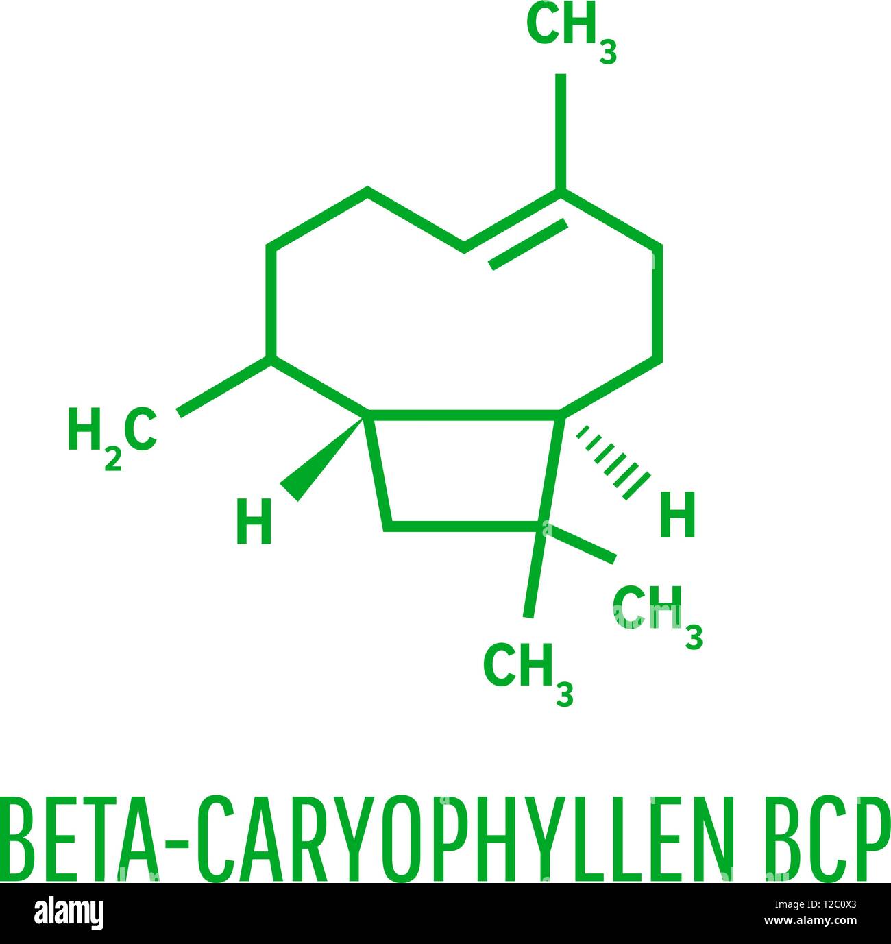 Synthetic essential Stock Vector Images - Alamy