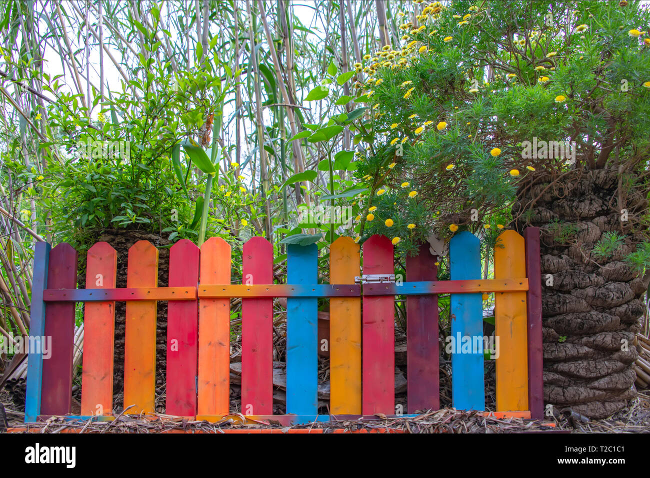 Multi-colored fence strips and wickets at the entrance to an overgrown ...