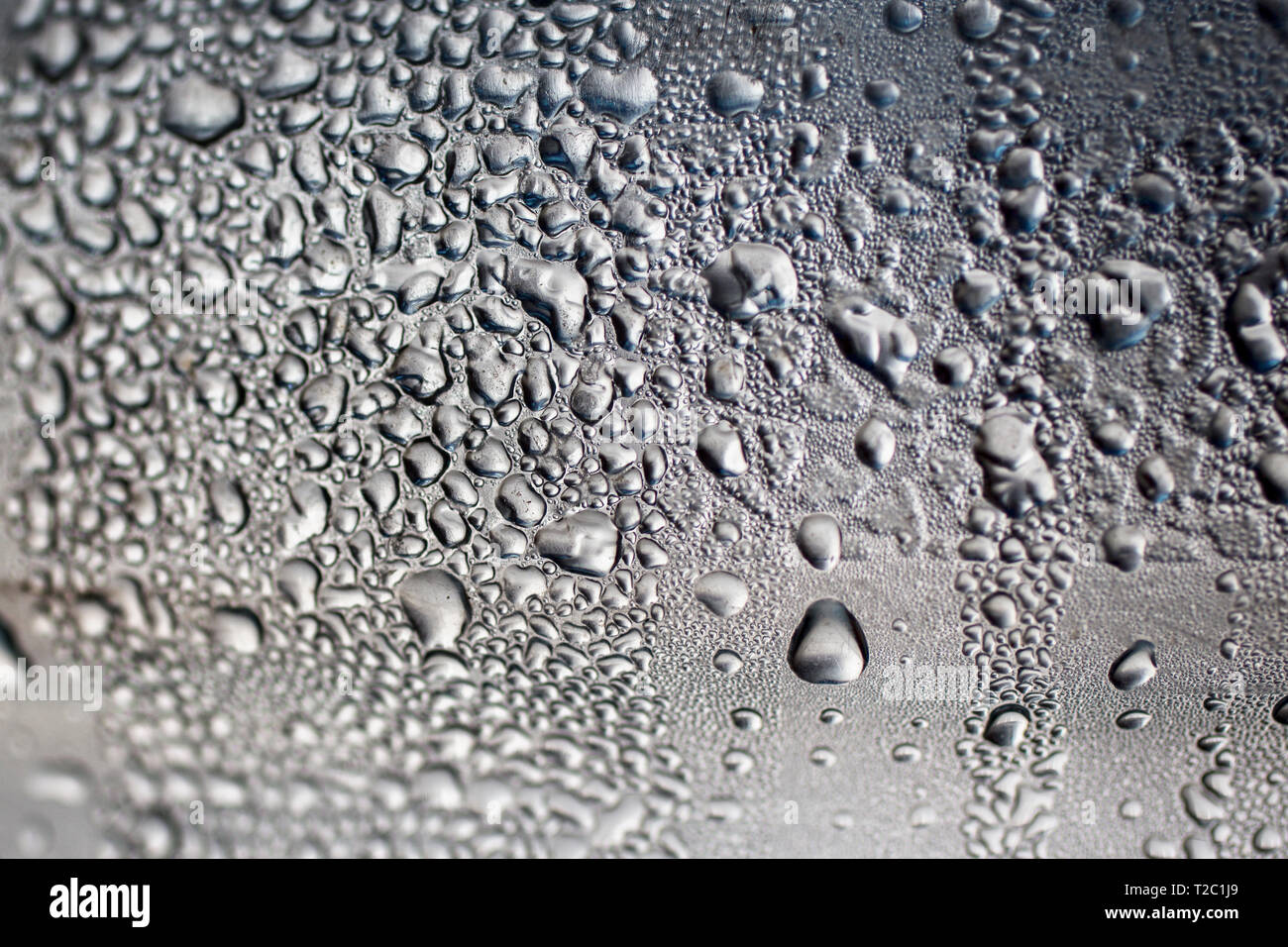 Abstract water drops texture. Monochrome Stock Photo - Alamy