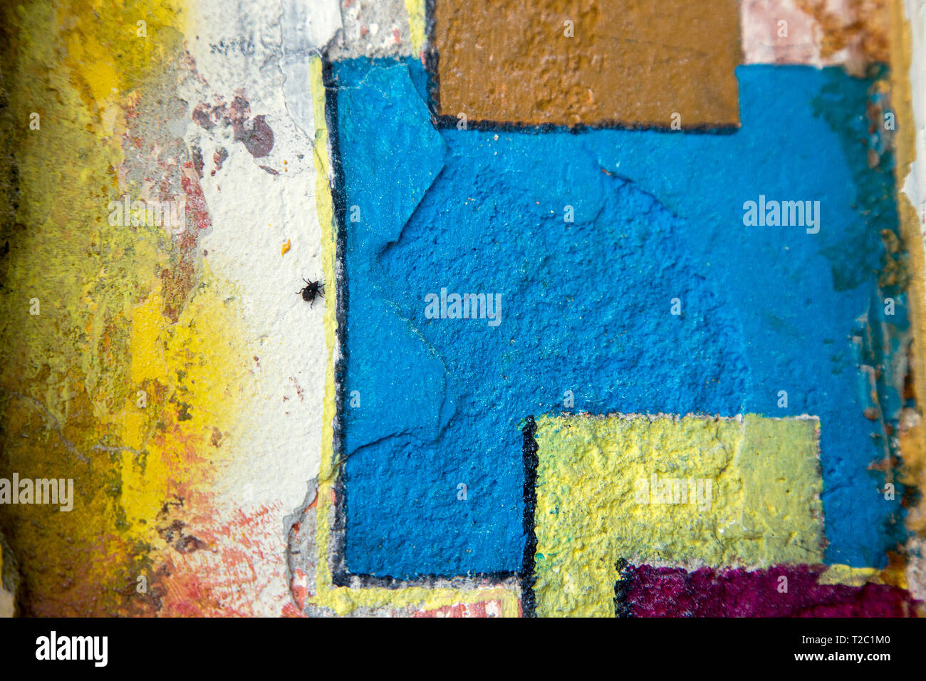 Bug on graffiti painted wall Stock Photo - Alamy