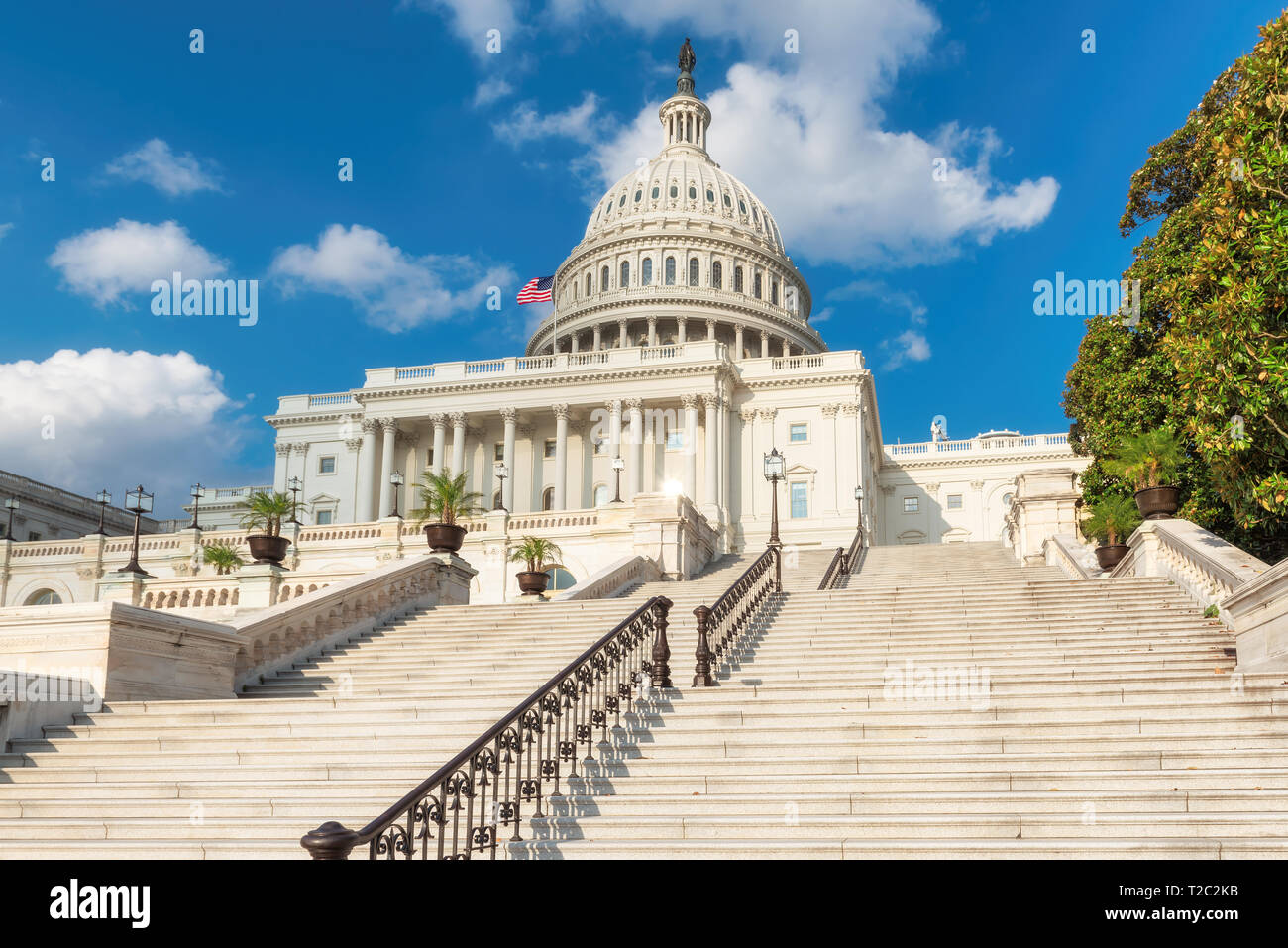 US Capitol Building at sunset, Washington DC, USA Stock Photo - Alamy