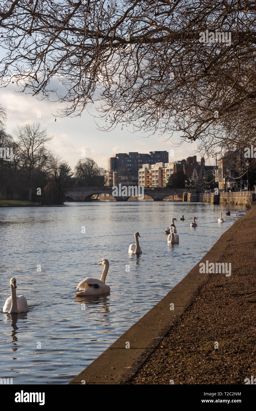 Bedford embankment hi-res stock photography and images - Alamy