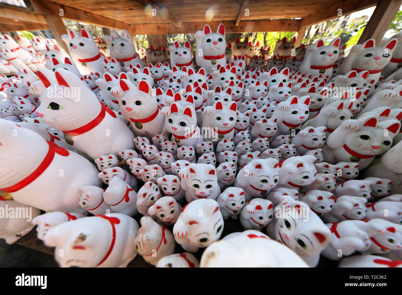 Maneki-Neko waving cat statues at the Gotokuji Temple in the Setagaya district of Tokyo in Japan ...